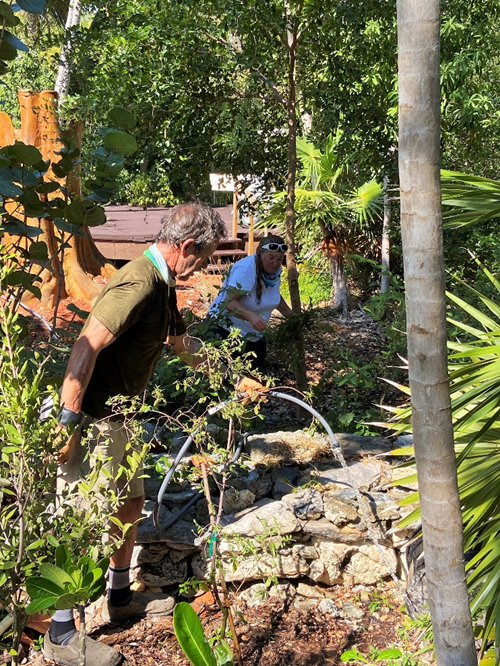 Volunteers Sought at the Key West Tropical Forest & Botanical Garden ...